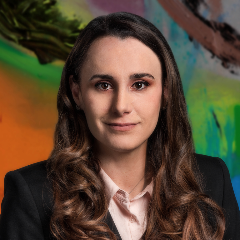 Meet Our Attorneys | Meltzer Lippe